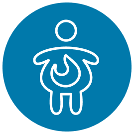 Project AD Shredabull– The Nutrition Corners