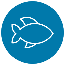 Core Nutritionals Omega– The Nutrition Corners